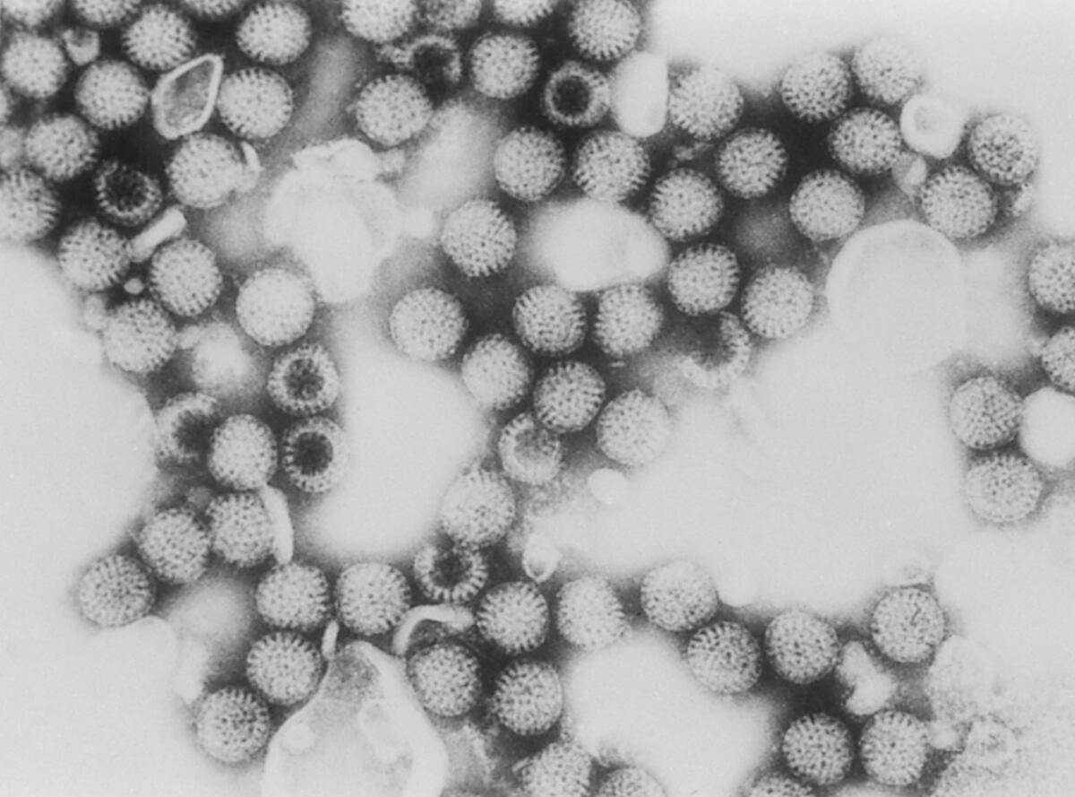 Rotavirus - TechNet-21